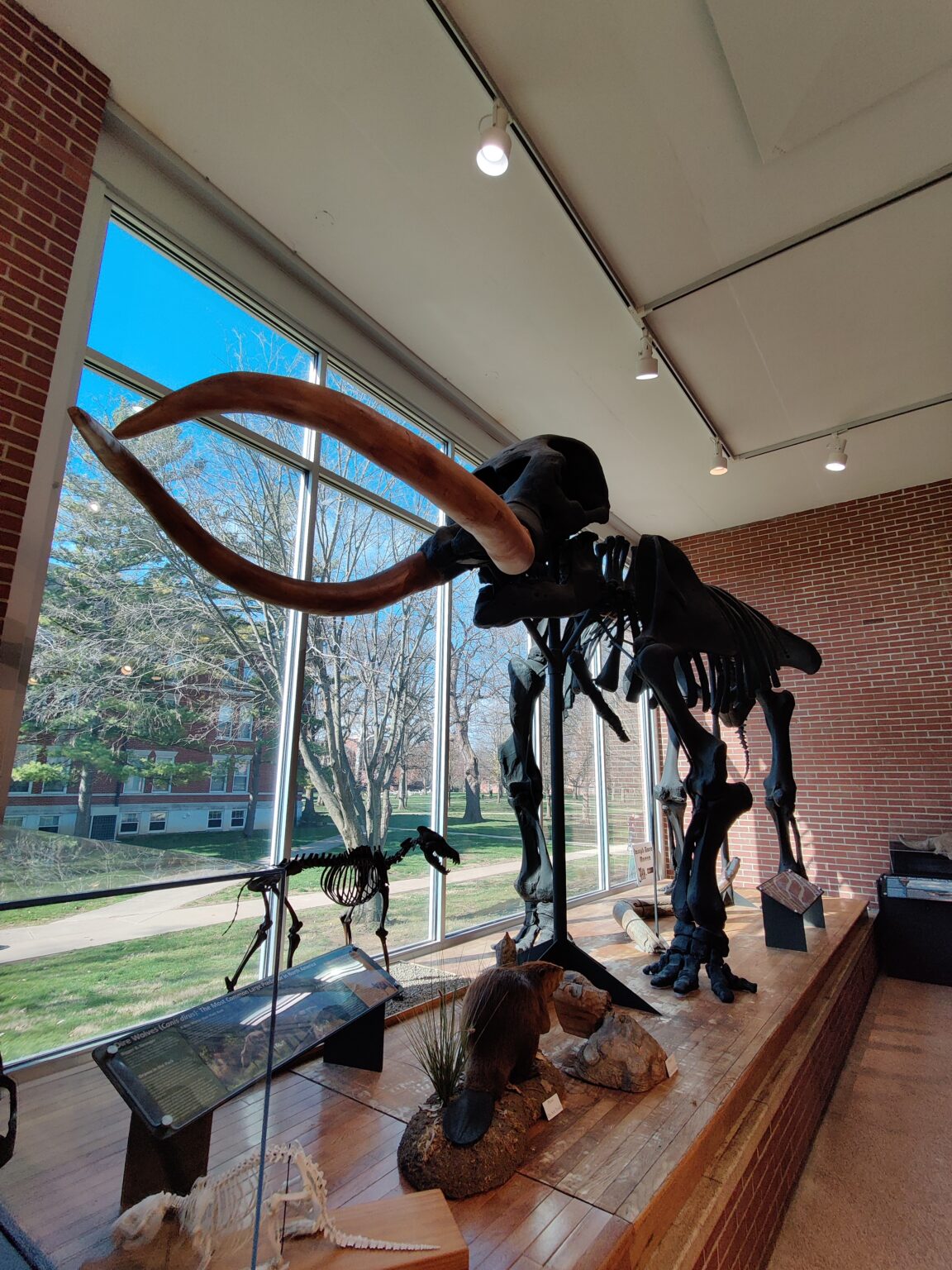 Upcoming Science Cafes - Dahlonega Science Council